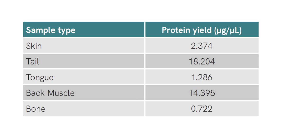 Protein extraction from hard tissue samples using the Omni Bead Ruptor ...