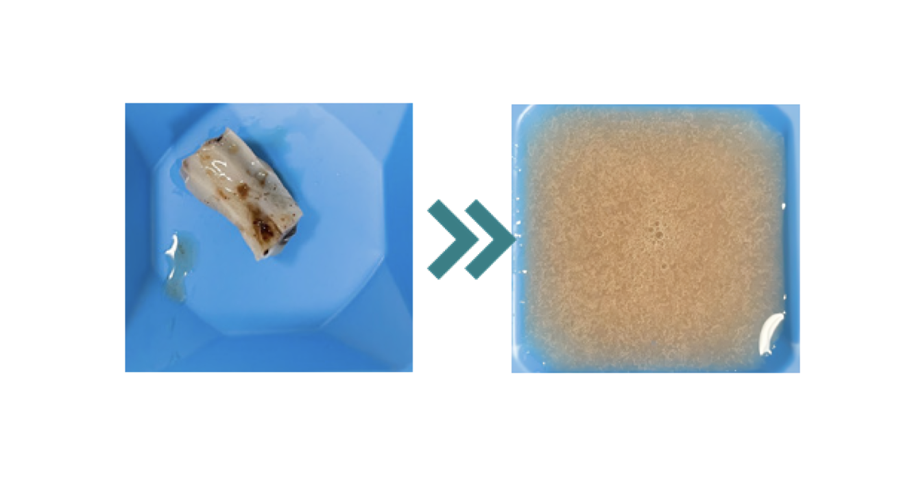 Homogenization of Formalin-Fixed Umbilical Cord and Placenta Tissues ...