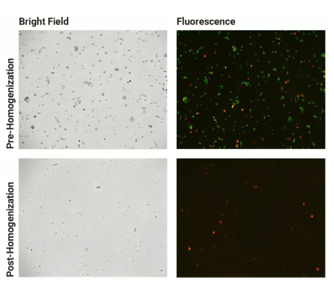 Rapid cell count and intactness assessment of pre- and post-Bead Ruptor ...