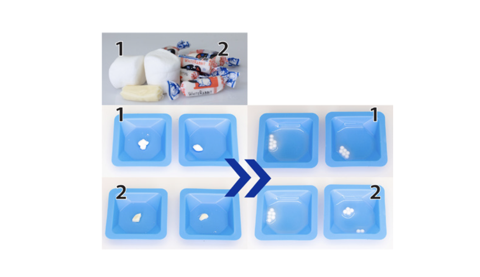 Homogenization of Candy or Sweets for Porcine DNA Testing using the ...