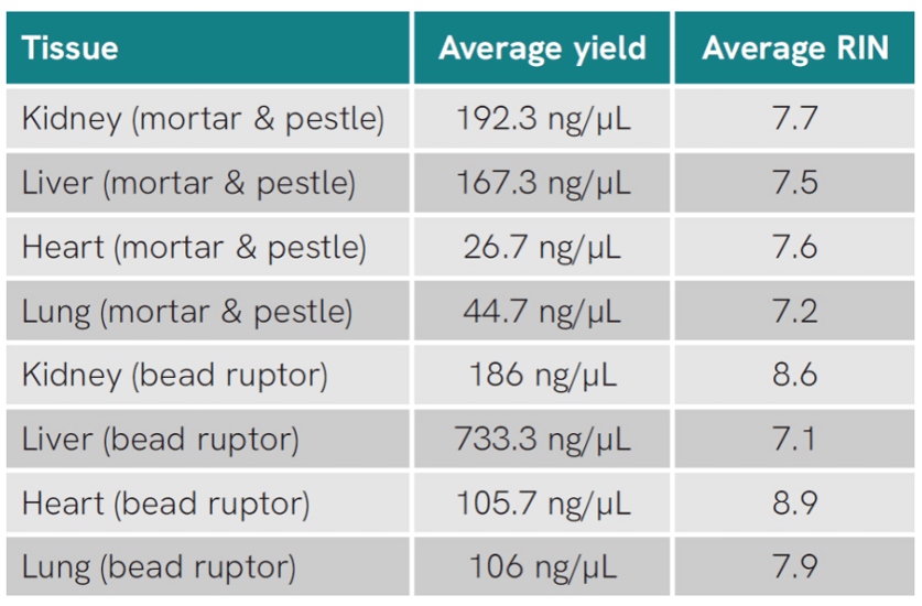 High throughput RNA extraction from Mus musculus tissue using a Tissue ...