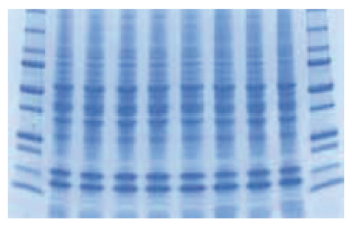 Evaluating the reproducibility of protein extraction from hard tissues ...