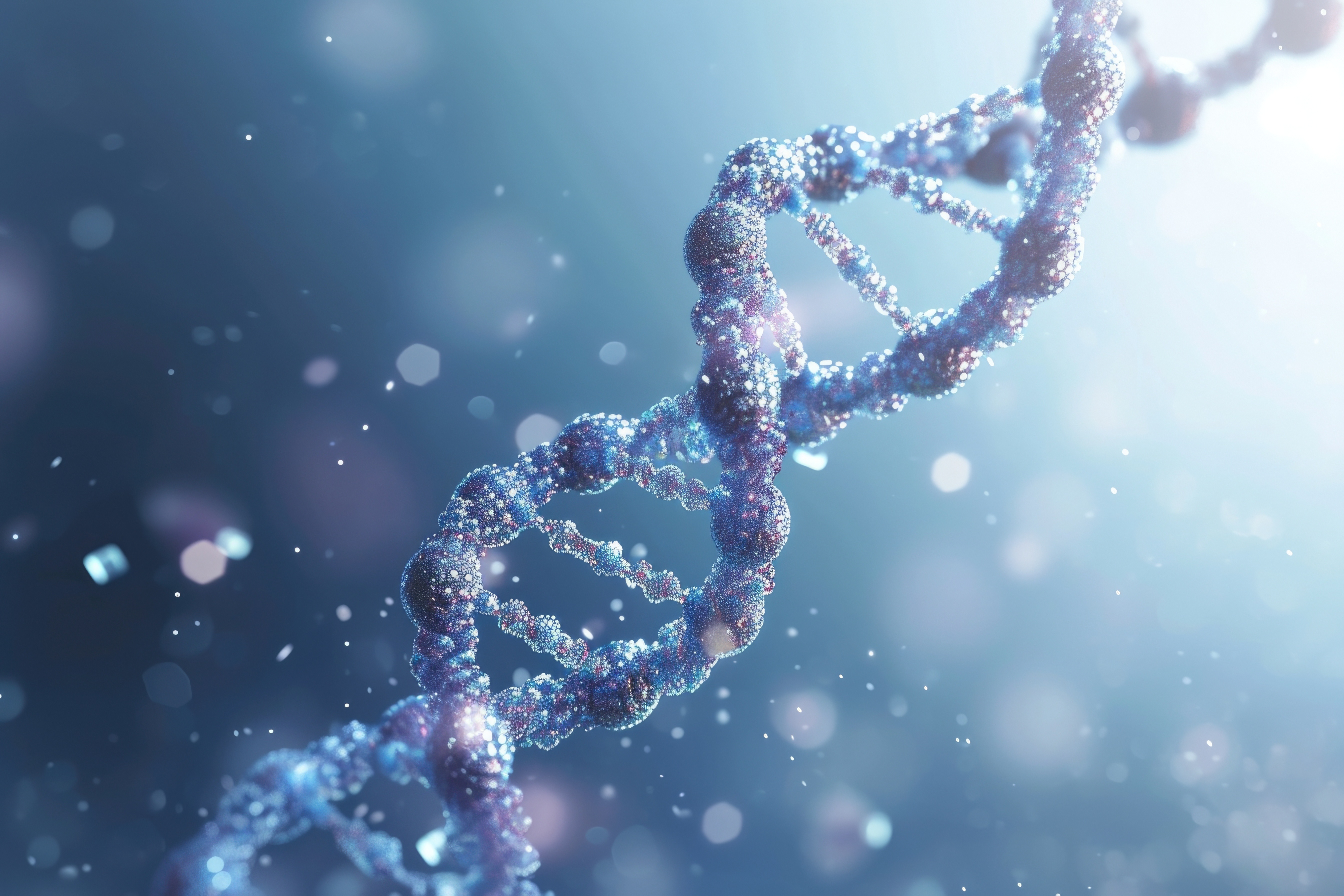 Drosophila melanogaster protein and DNA extractions using the Omni Bead ...